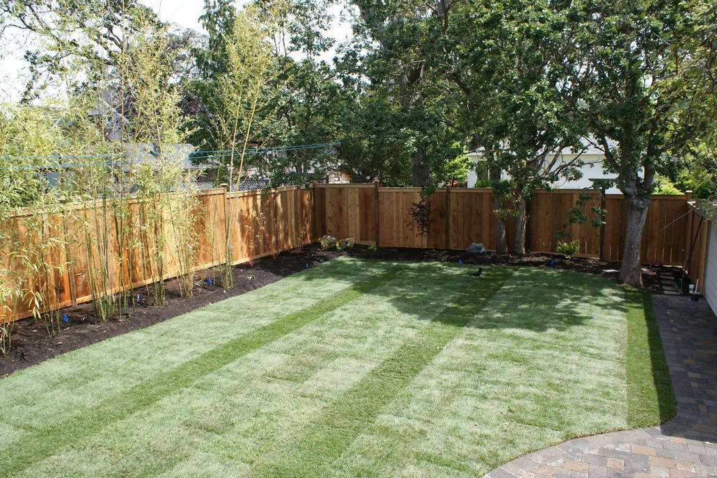 New Lawn Installation & Sod in Victoria - True Earth Landscaping